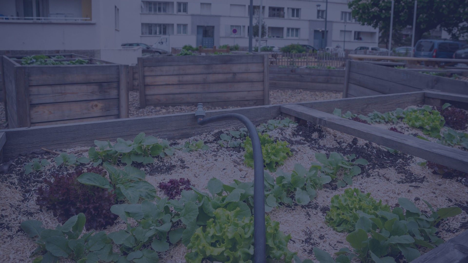 Building Resilient Food Systems: Applying Lessons from Disaster ...