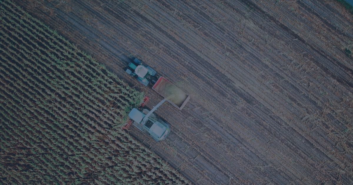 The Wealth and Power Global Food Distribution Conundrum